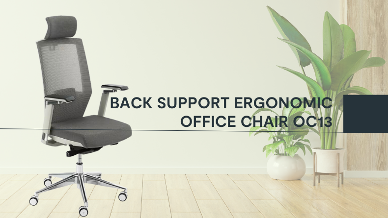 Benefits of Adjustable Lumbar Support in Office Chairs | FlexiSpot