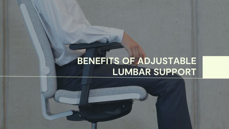 Benefits of Adjustable Lumbar Support in Office Chairs | FlexiSpot