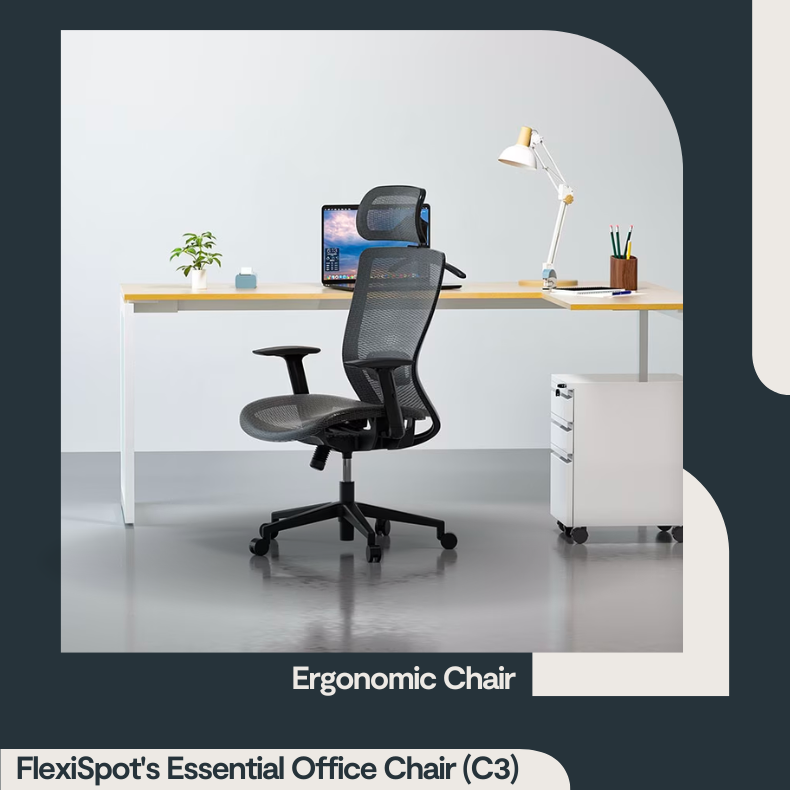 What Are the Ergonomics of a Chair? | FlexiSpot